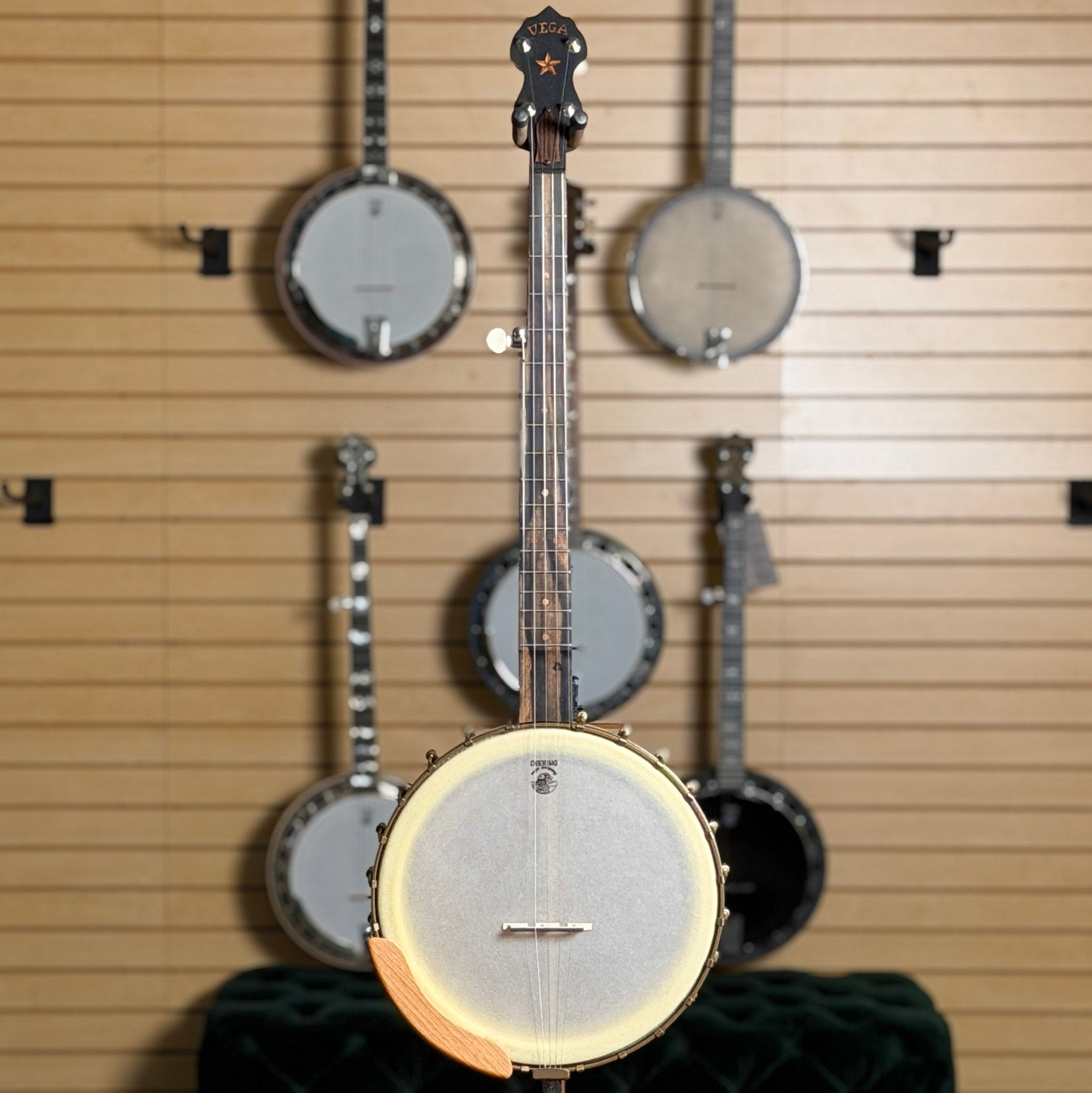 Vega Vintage Star Cherry | Showroom Banjo – Deering® Banjo Company