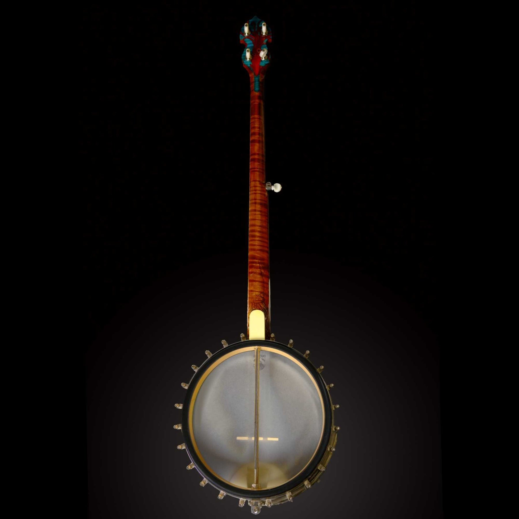 Custom "Nemo" Vega Long Neck Banjo By Greg Deering – Deering® Banjo Company